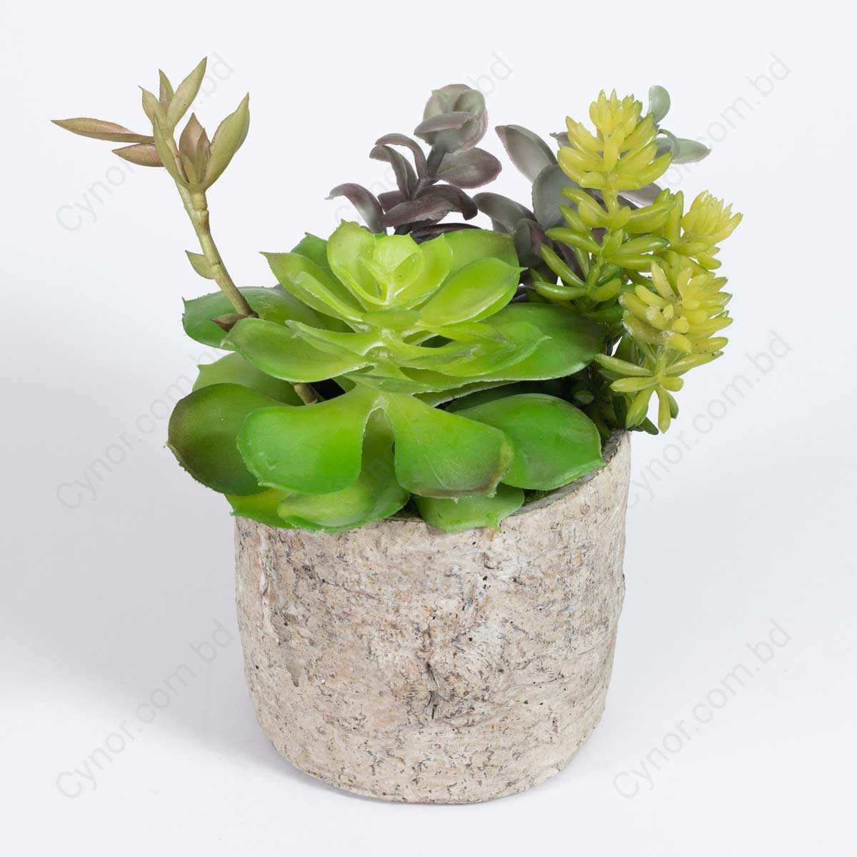 Ultra Realistic Heavyweight Pot with Succulent and Cactus Arrangement ...