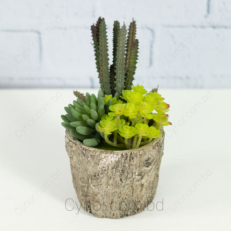 Ultra Realistic Heavyweight Pot with Succulent and Cactus Arrangement ...
