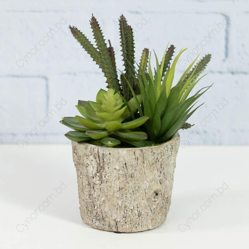 Ultra Realistic Heavyweight Pot with Succulent and Cactus Arrangement ...